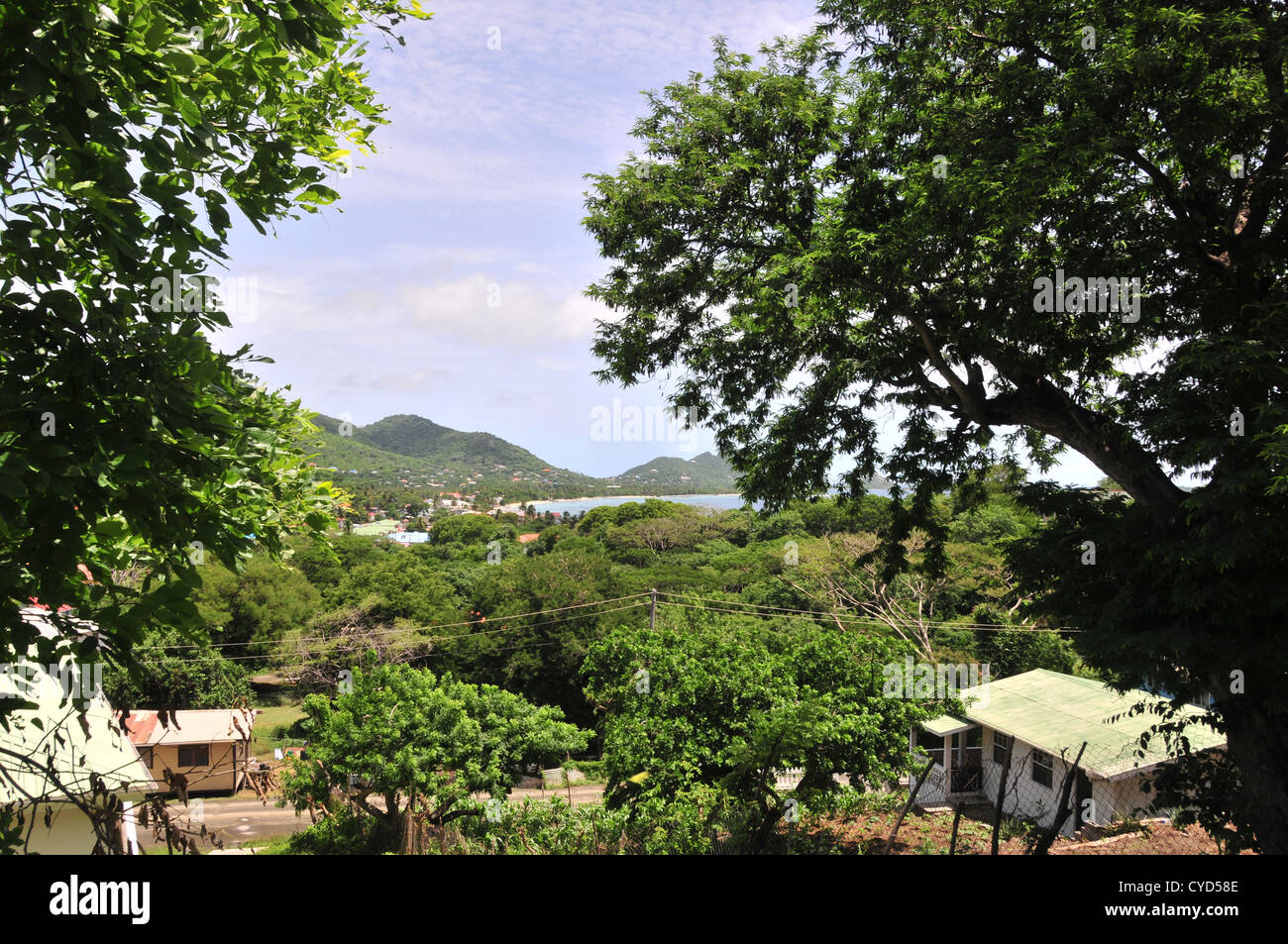 Blue sky white clouds 'tree window' view, hillside homes, gardens ...