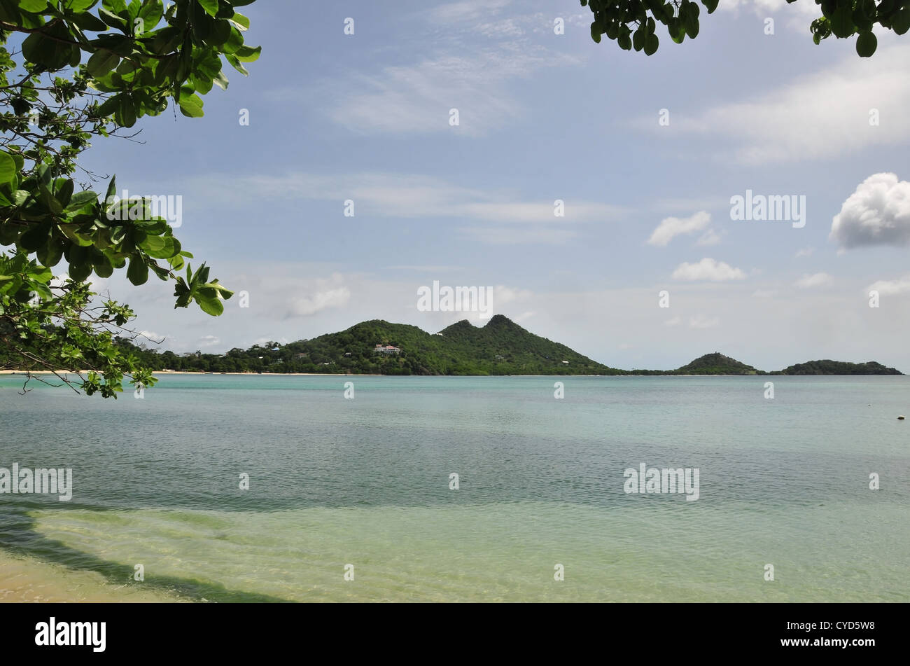 Blue sky 'tree window' view, from Lauriston Point, L'Esterre Bay to ...