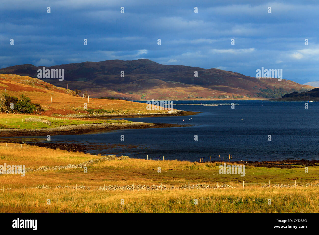 Spelve hi-res stock photography and images - Alamy