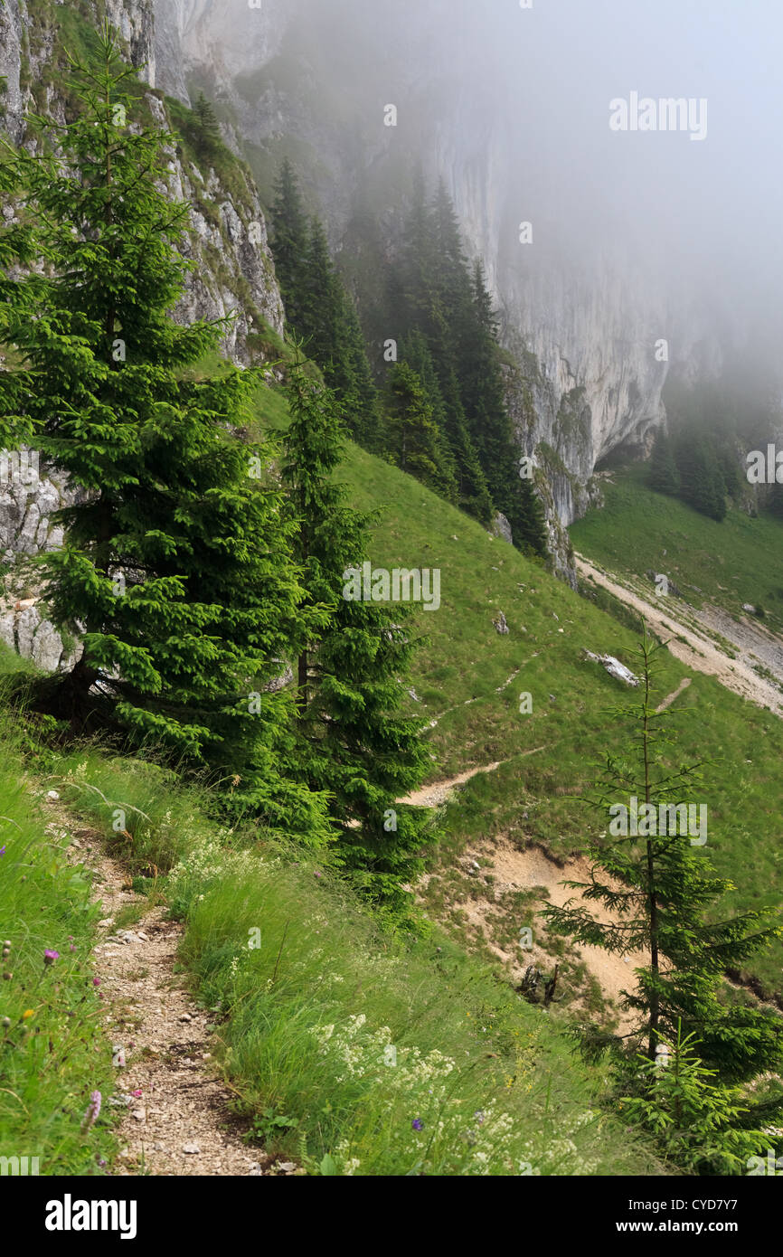 Mountain peak mark hi-res stock photography and images - Alamy