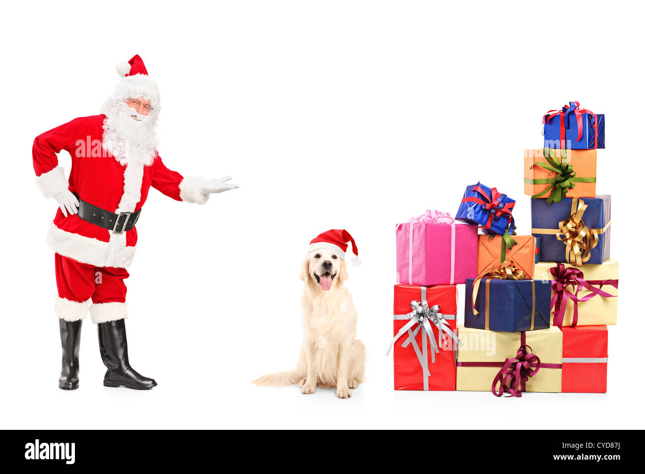 Full length portrait of Santa Claus and dog posing next to pile of ...