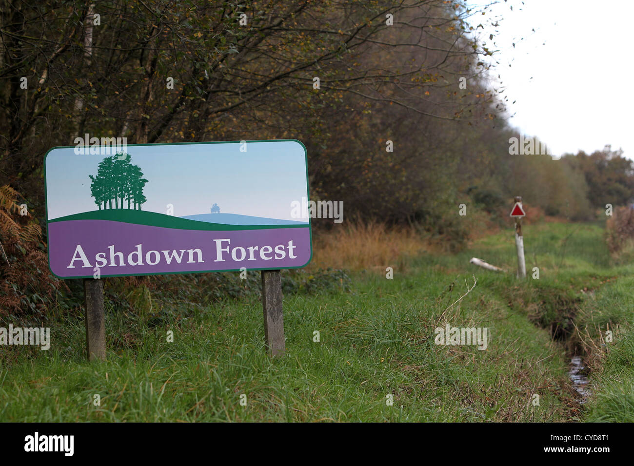 General views of Ashdown Forest, Sussex, UK Stock Photo - Alamy