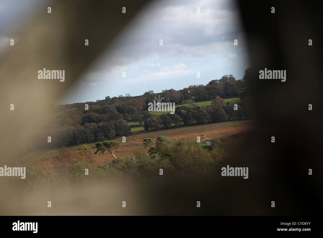 General views of Ashdown Forest, Sussex, UK Stock Photo - Alamy