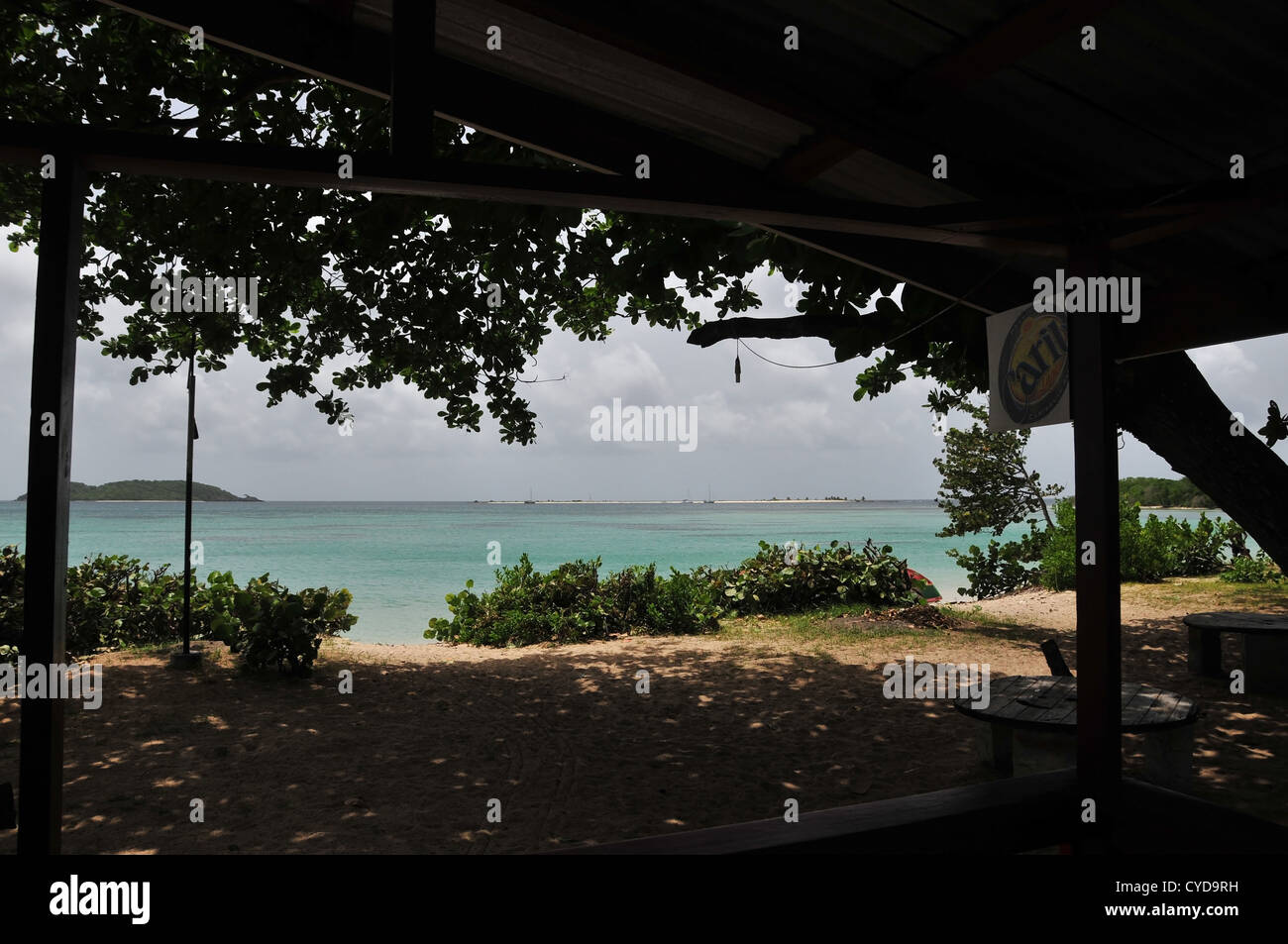 Sunny 'tree window' view from wooden Hardwood Bar Restaurant, green ...