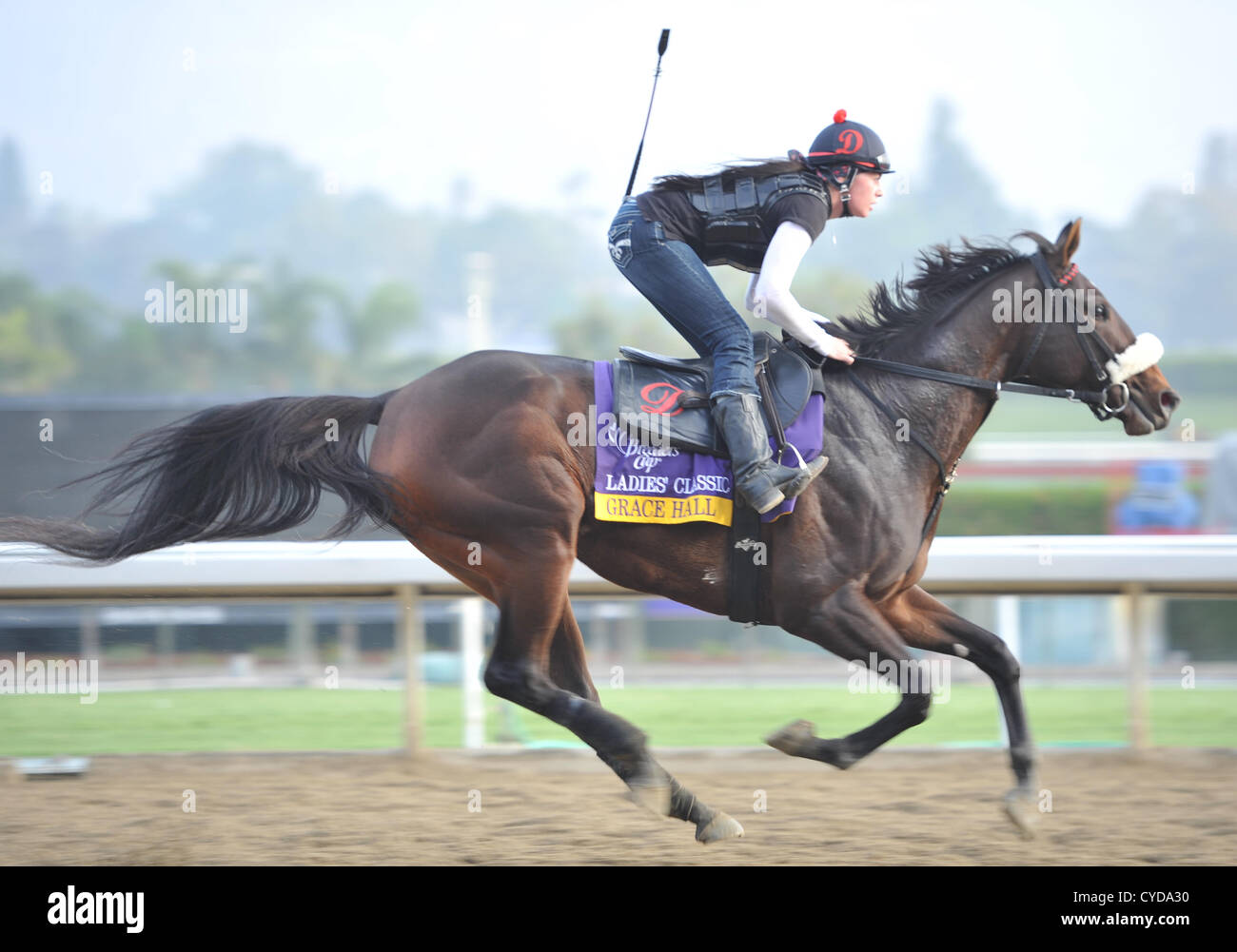 Nov. 1, 2012 - Arcadia, California, U.S. - Grace Hall, trained by ...