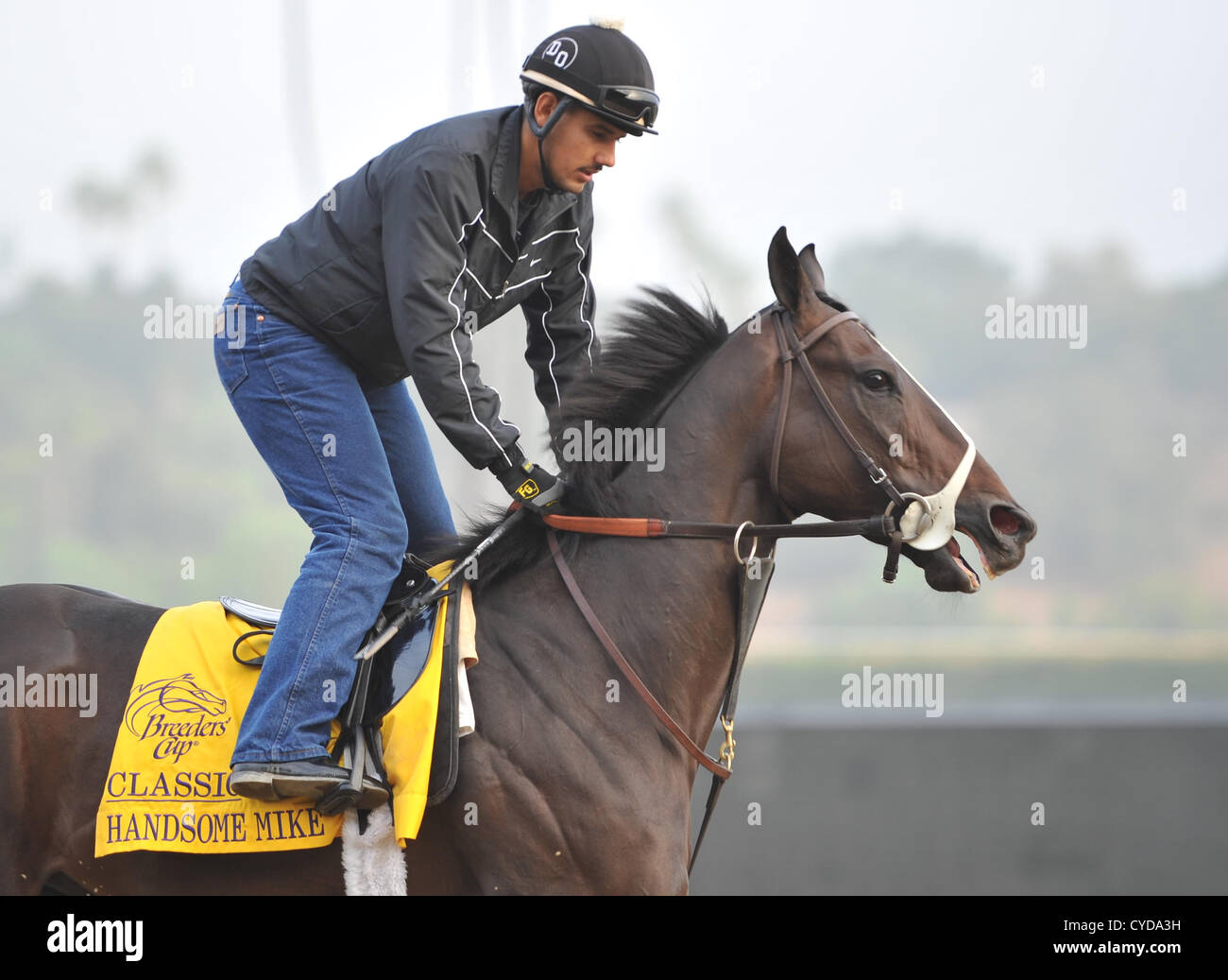 Nov. 1, 2012 - Arcadia, California, U.S. - Handsome Mike, trained by ...