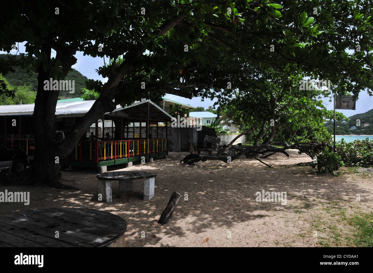 Sun shade view of tall tree, beach tables, colourful wood building ...