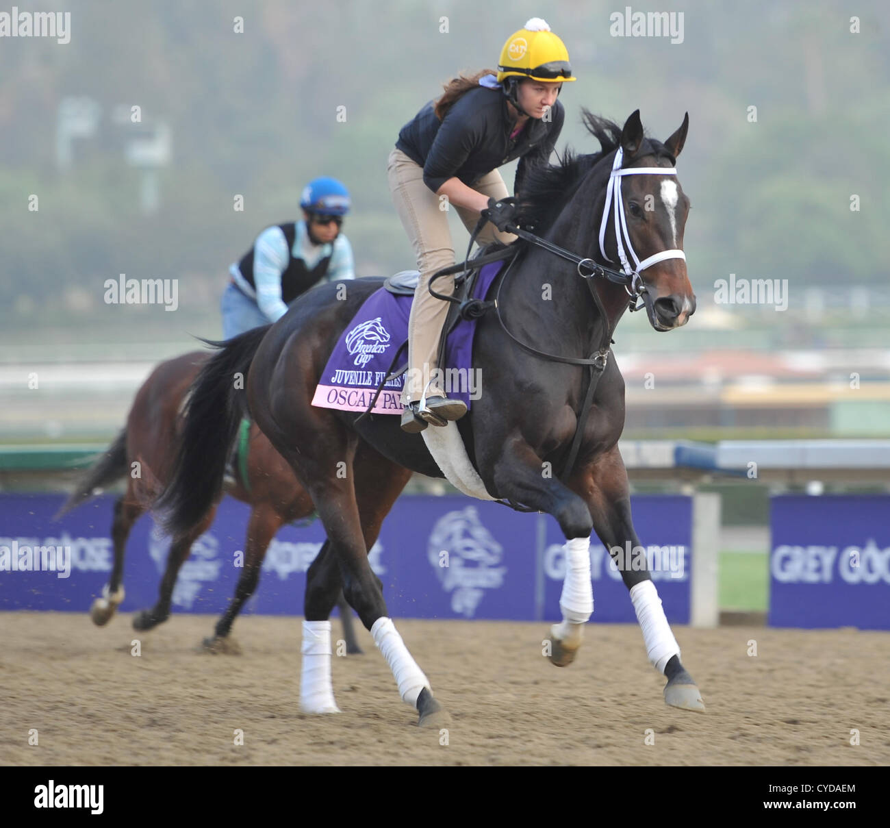 Nov. 1, 2012 - Arcadia, California, U.S. - Oscar Party, trained by ...
