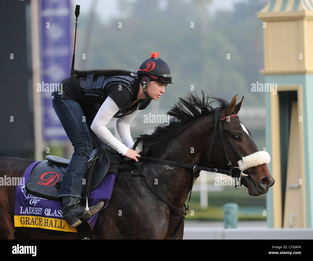 Nov. 1, 2012 - Arcadia, California, U.S. - Grace Hall, trained by ...