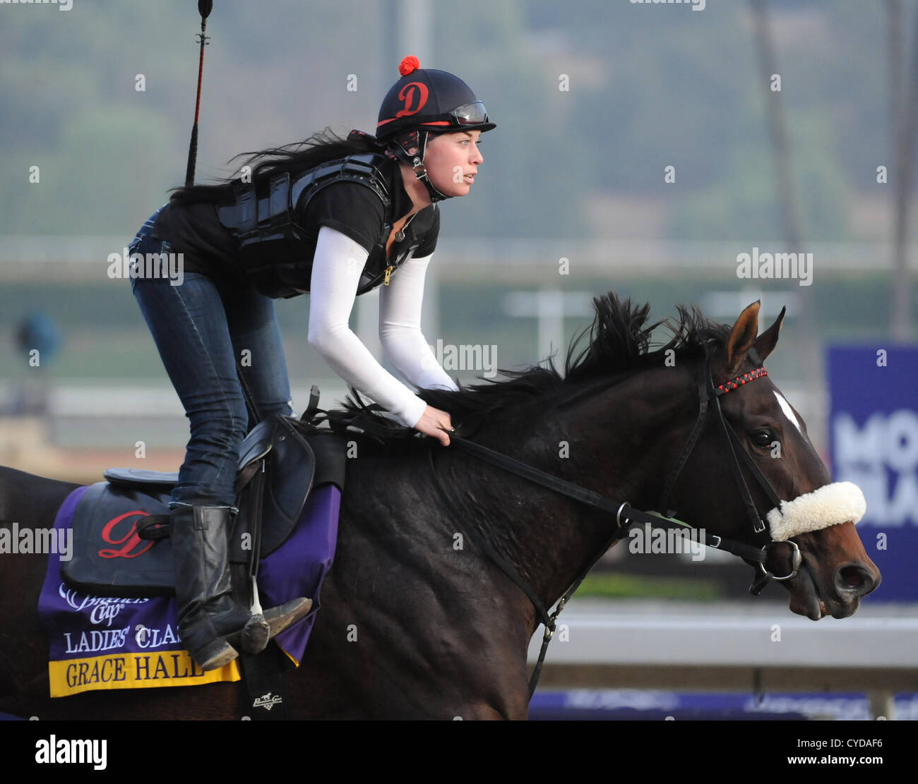 Dutrow hi-res stock photography and images - Alamy