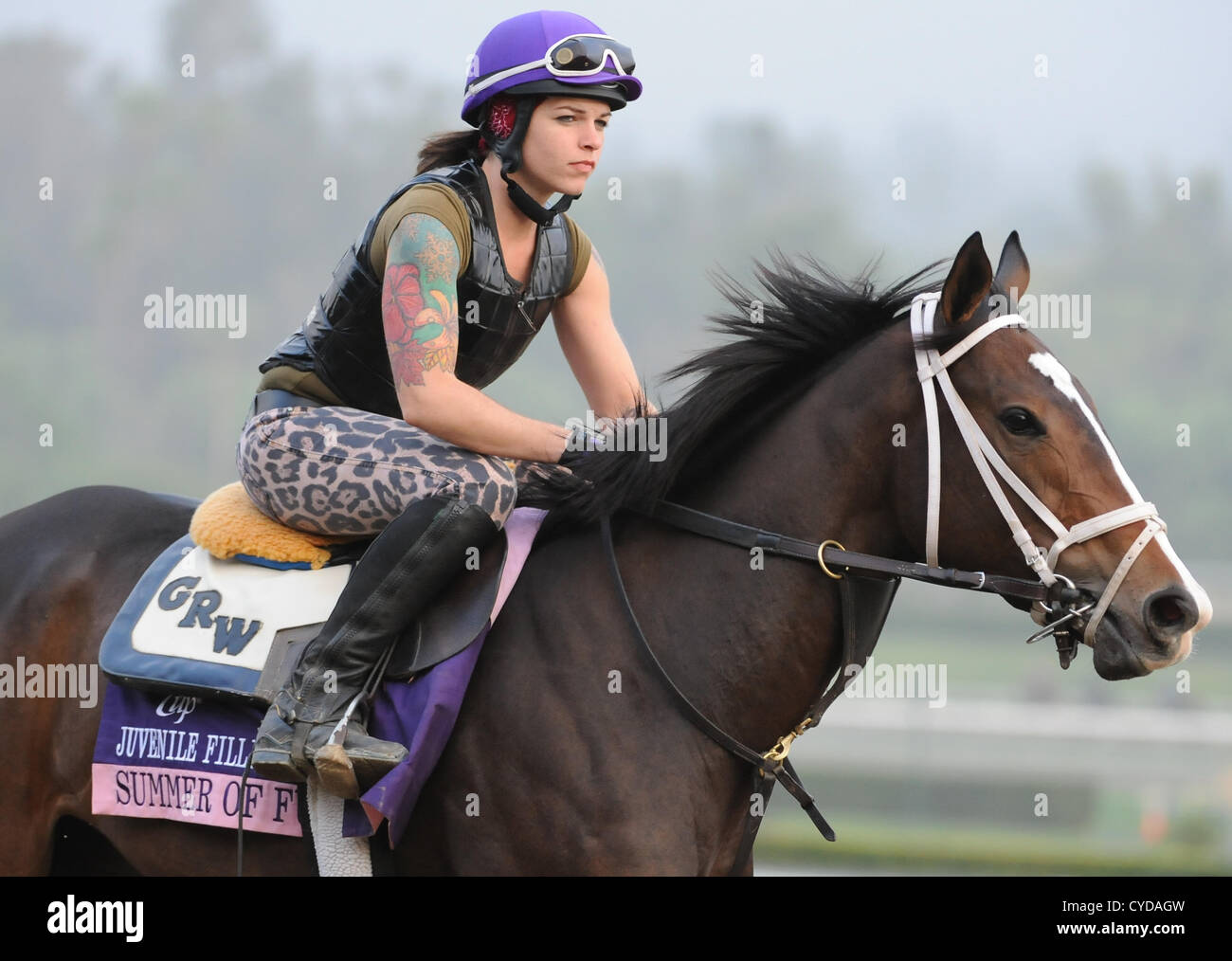 George weaver hi-res stock photography and images - Alamy