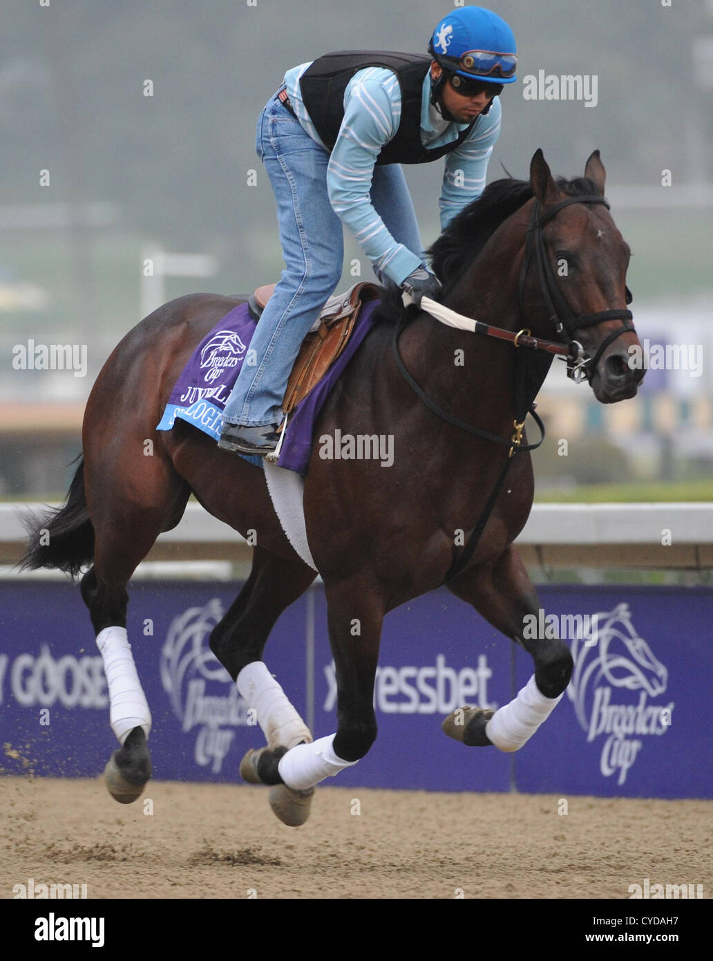 Jr exercises hi-res stock photography and images - Alamy