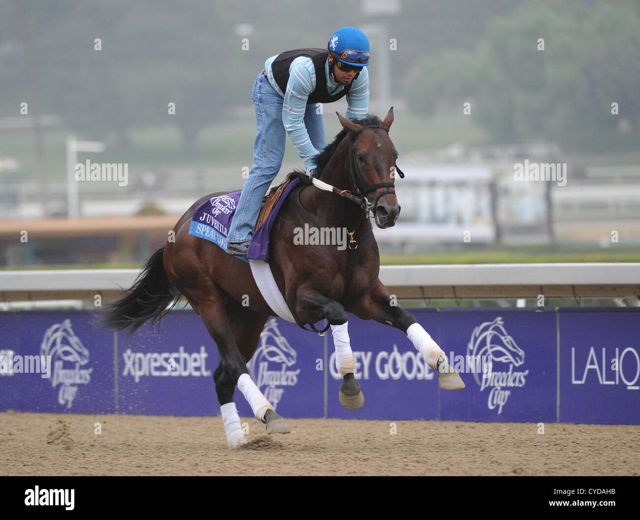 Jr Exercises High Resolution Stock Photography and Images - Alamy