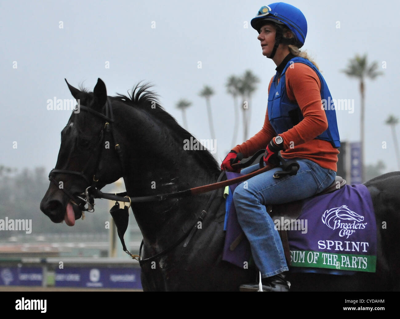 Nov. 1, 2012 - Arcadia, California, U.S. - Sum of the Parts, trained by ...