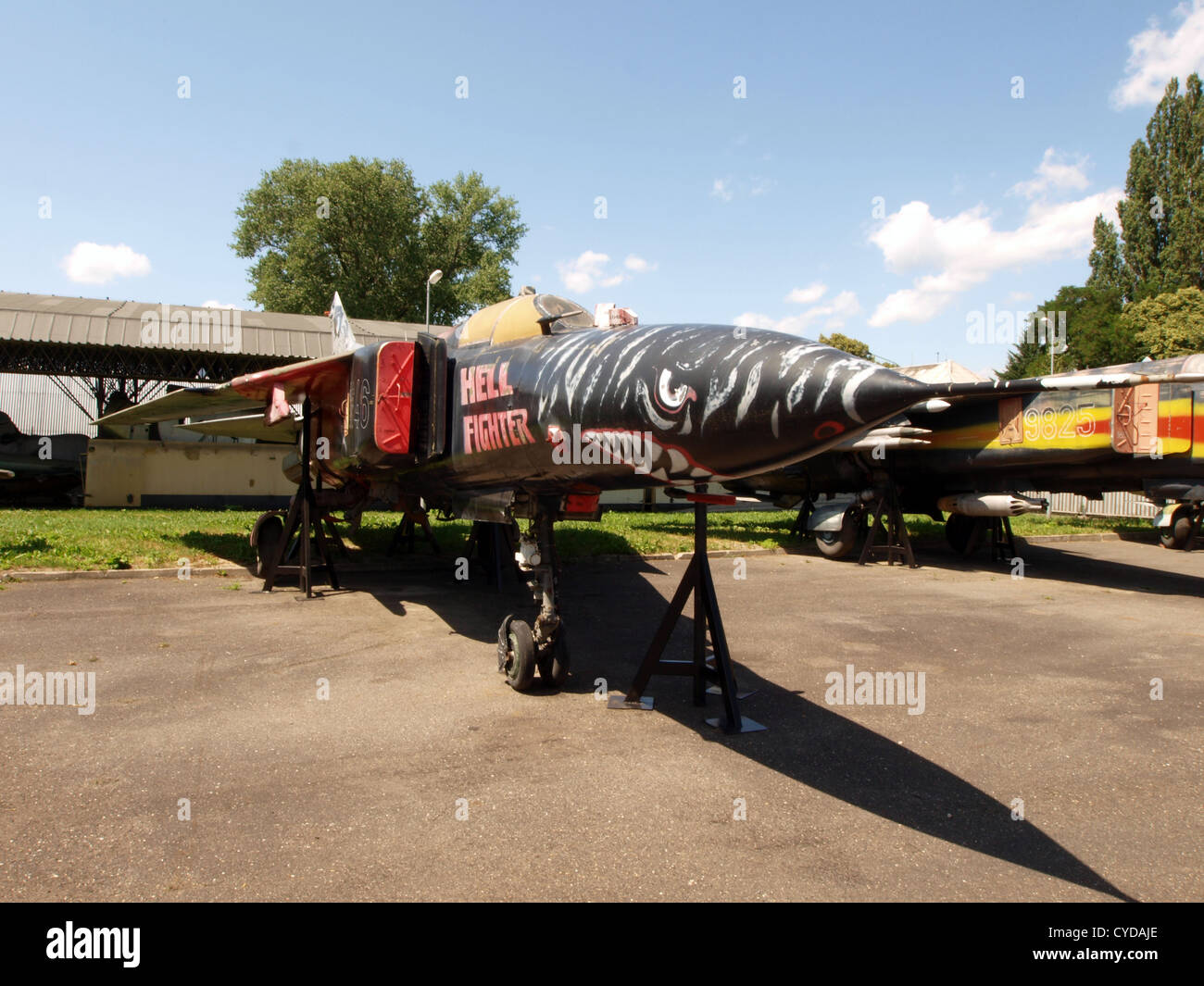 Flogger hi-res stock photography and images - Alamy