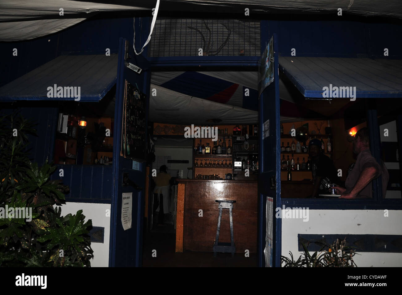 Cafe scene with turtle hi-res stock photography and images - Alamy