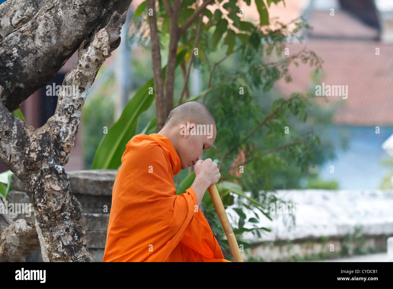 Monk sweeping in Luang Prabang, Laos Stock Photo - Alamy