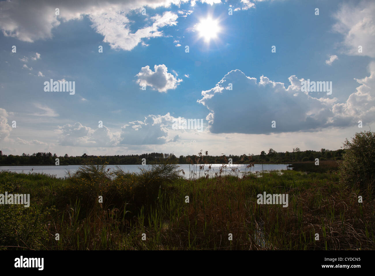 Sologne France High Resolution Stock Photography and Images - Alamy