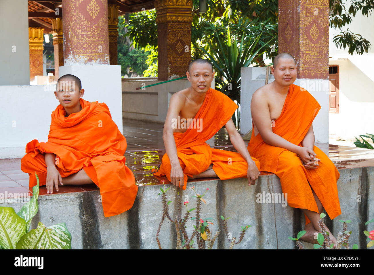 Monks in a Monastery in Luang Prabang, Laos Stock Photo - Alamy
