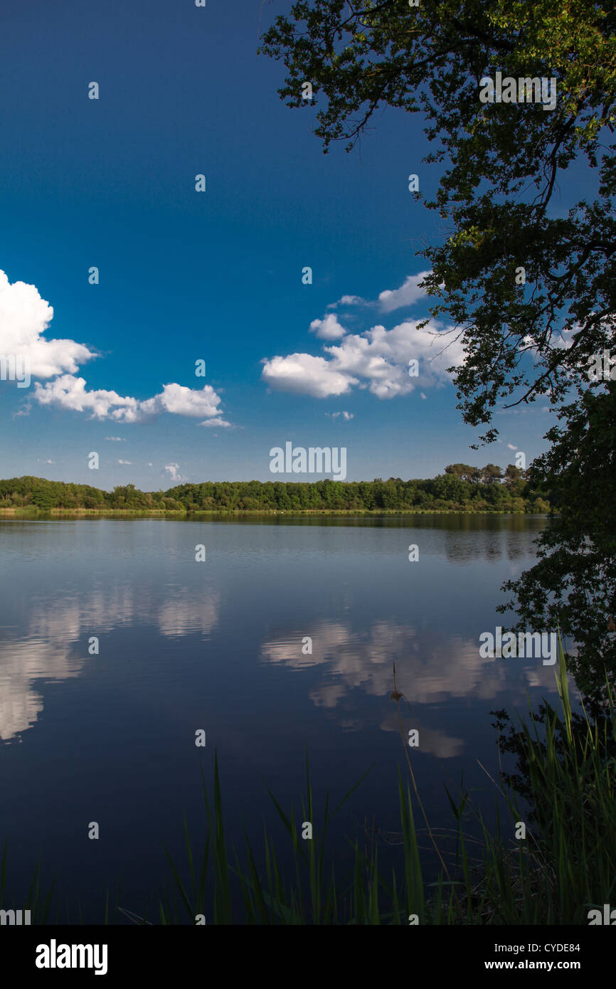 Lake in Sologne Stock Photo - Alamy