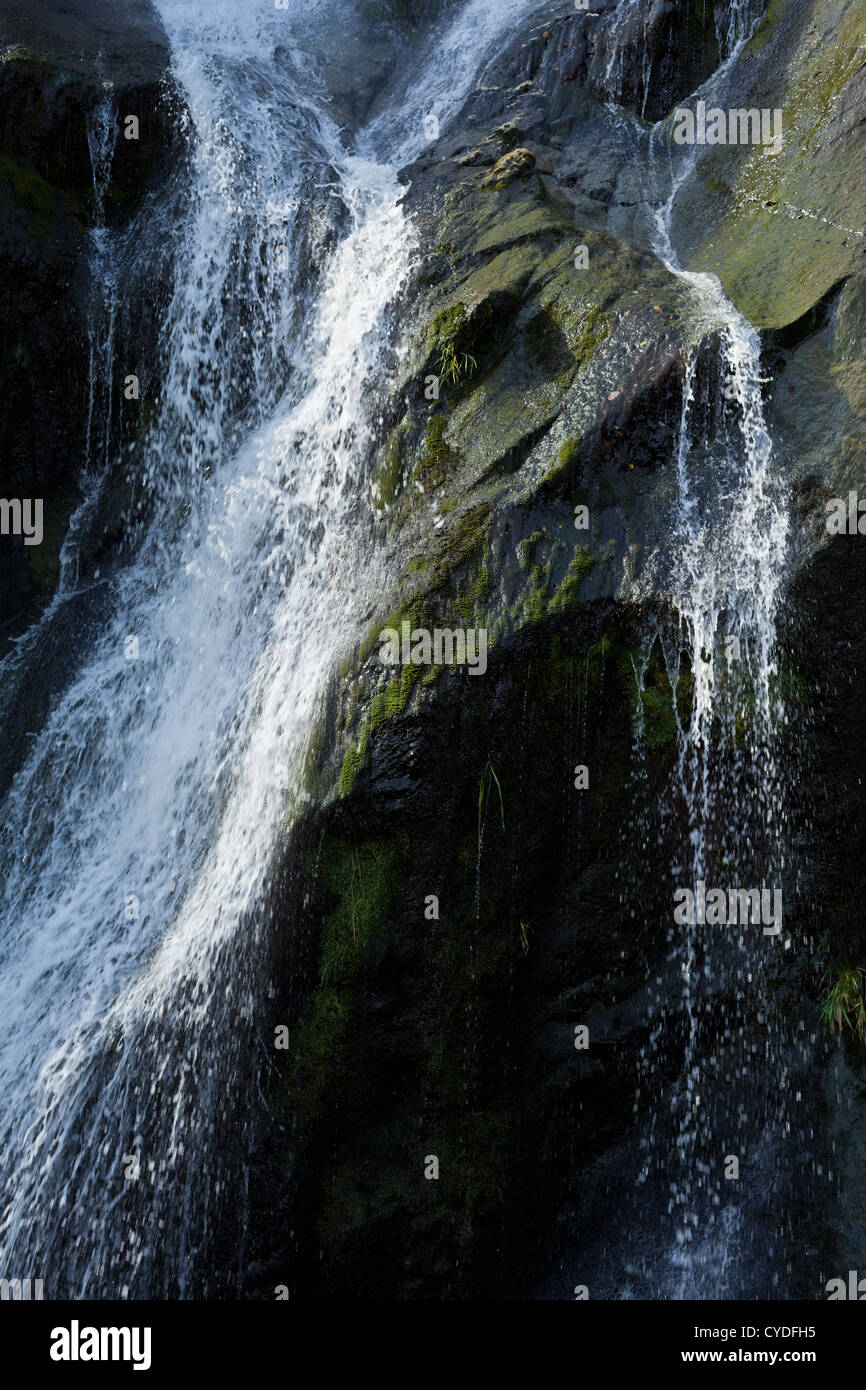 Powerscourt waterfall in County Wicklow, Ireland Stock Photo - Alamy