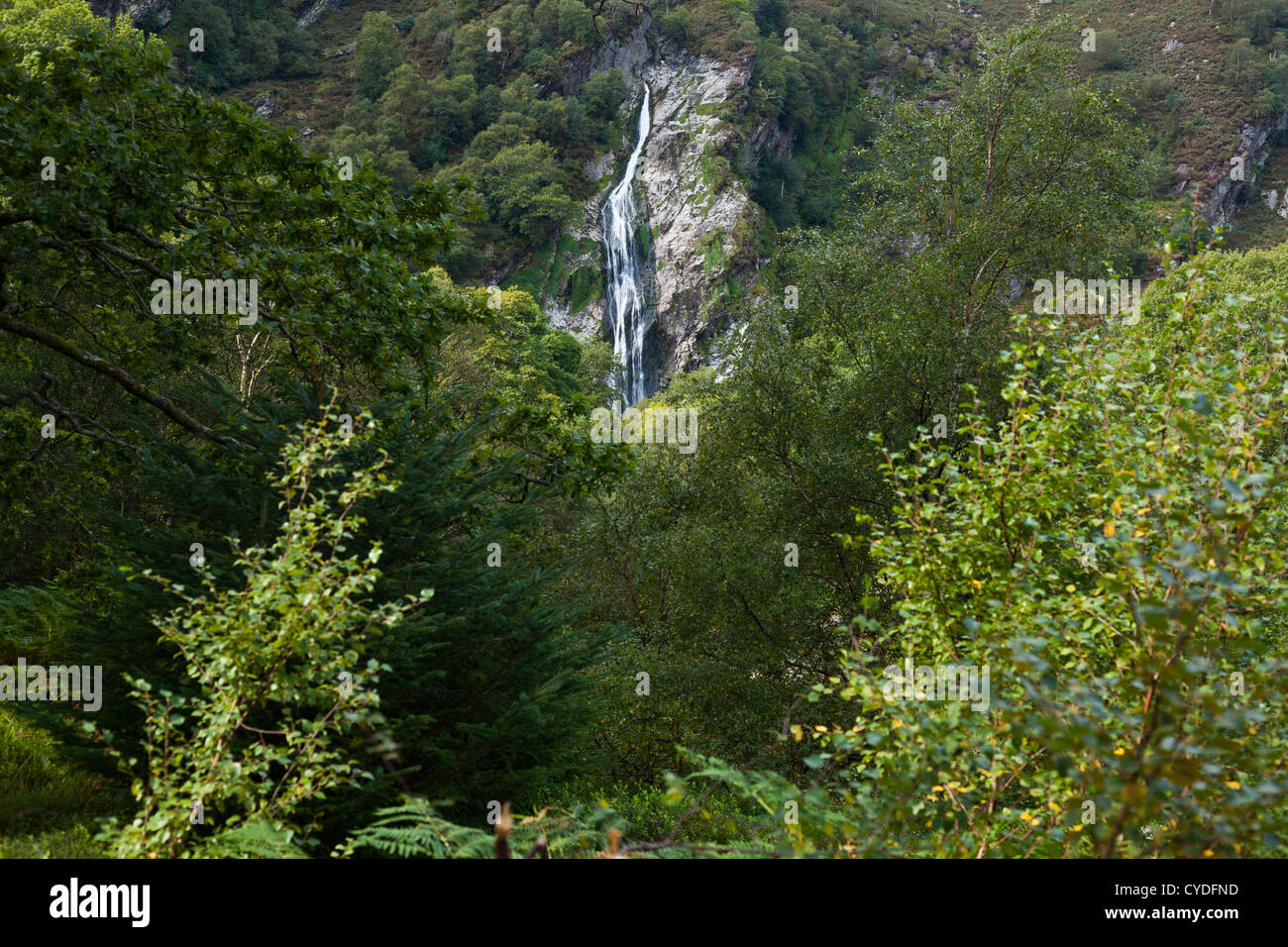 Powerscourt waterfall in County Wicklow, Ireland Stock Photo - Alamy