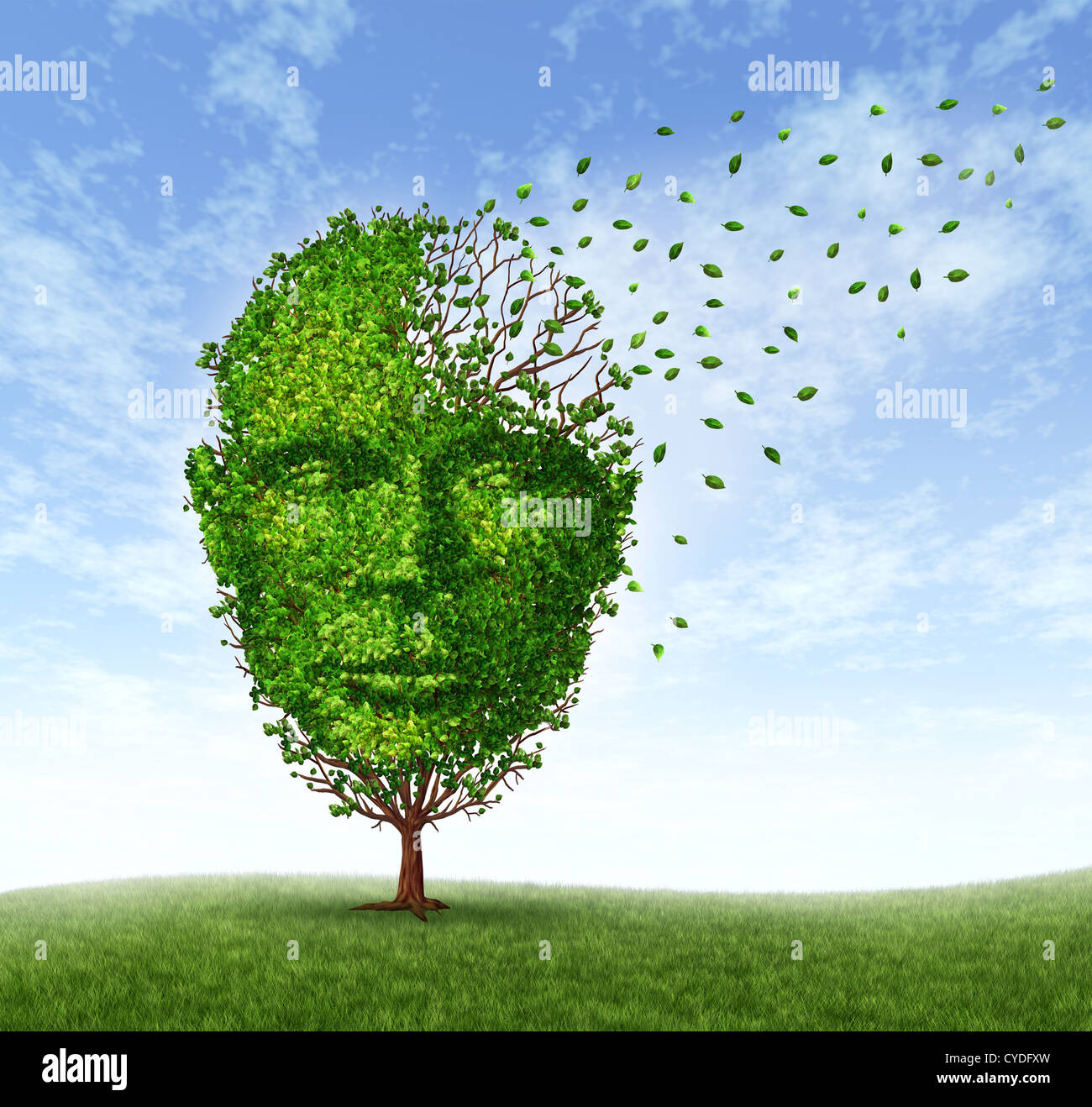 Human dementia problems as memory loss due to age and Alzheimer's ...