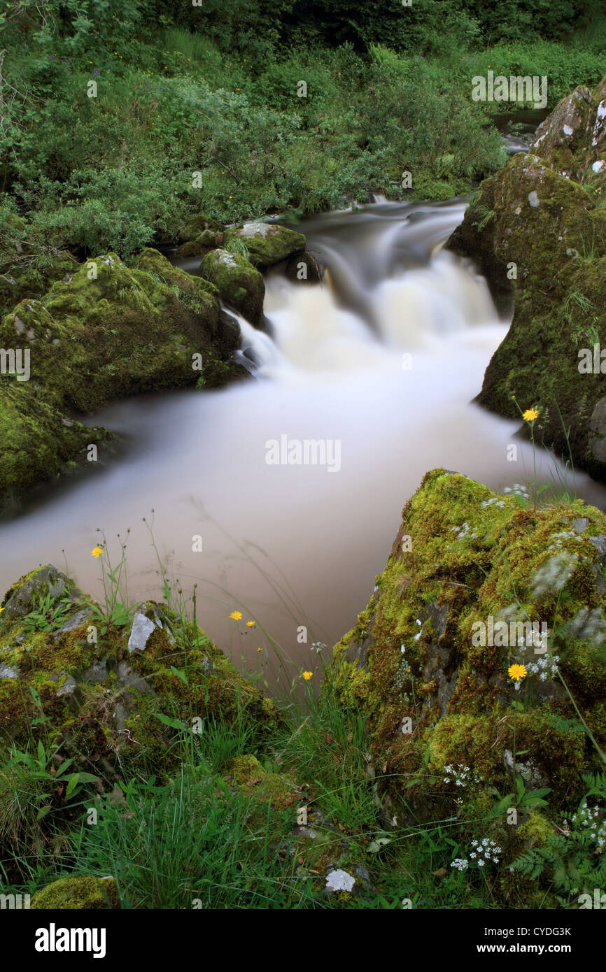 River Tweed in the parish of Tweeddale, Scottish Borders Stock Photo ...