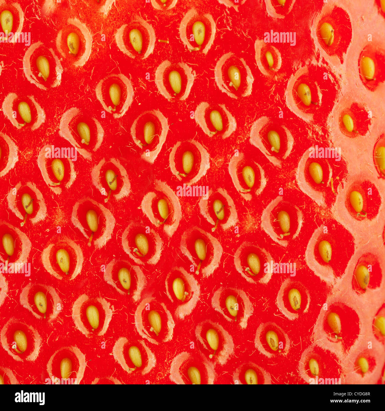 Strawberry Texture