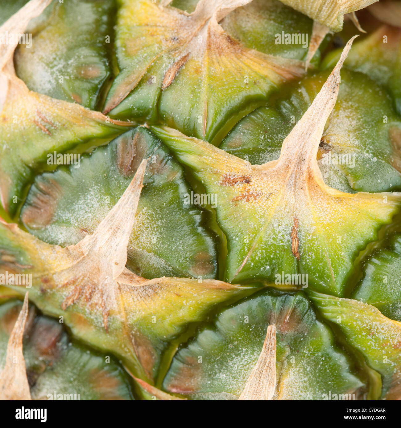 Macro food collection - Pineapple rind. Close up Stock Photo - Alamy