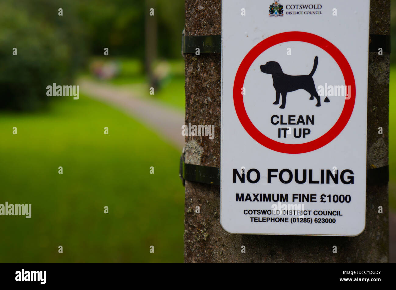 A no fouling, clean it up dog fine warning sign in a public park ...