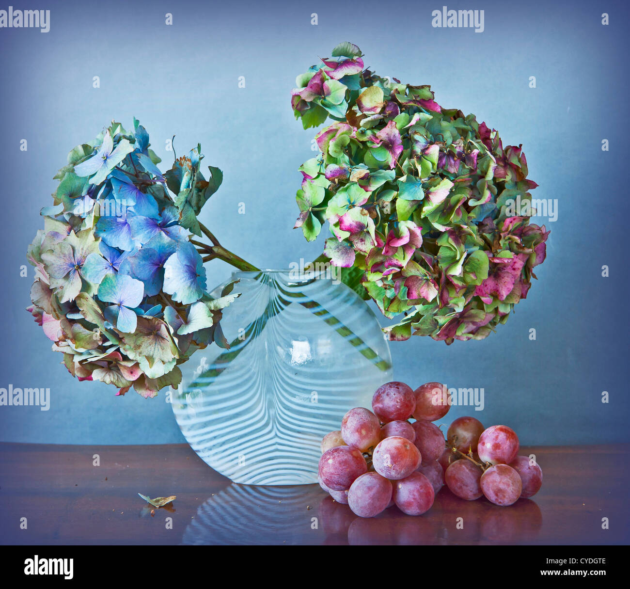 Blue hydrangea still life hi-res stock photography and images - Alamy