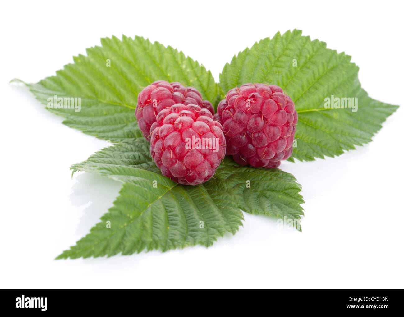Three raspberries with leaves. Isolated on white background Stock Photo ...