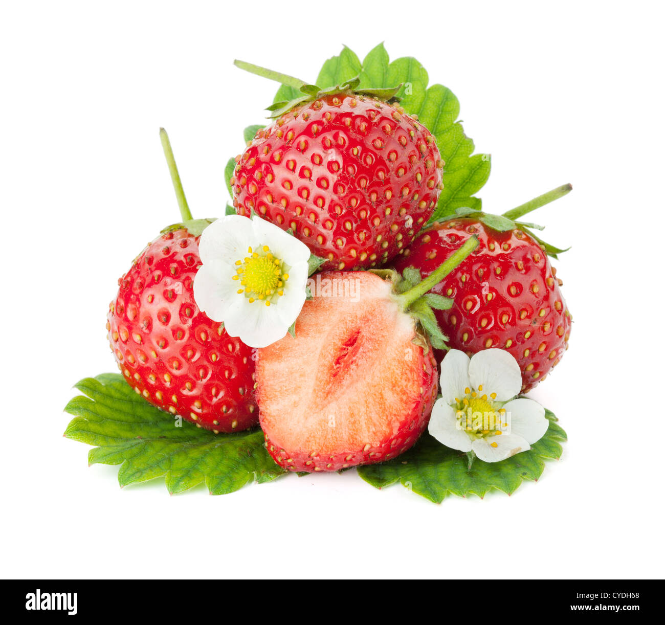 Strawberry fruits with flowers and leaves. Isolated on white background ...