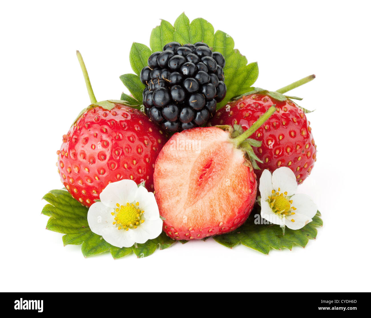 Strawberry and blackberry fruits. Isolated on white background Stock ...