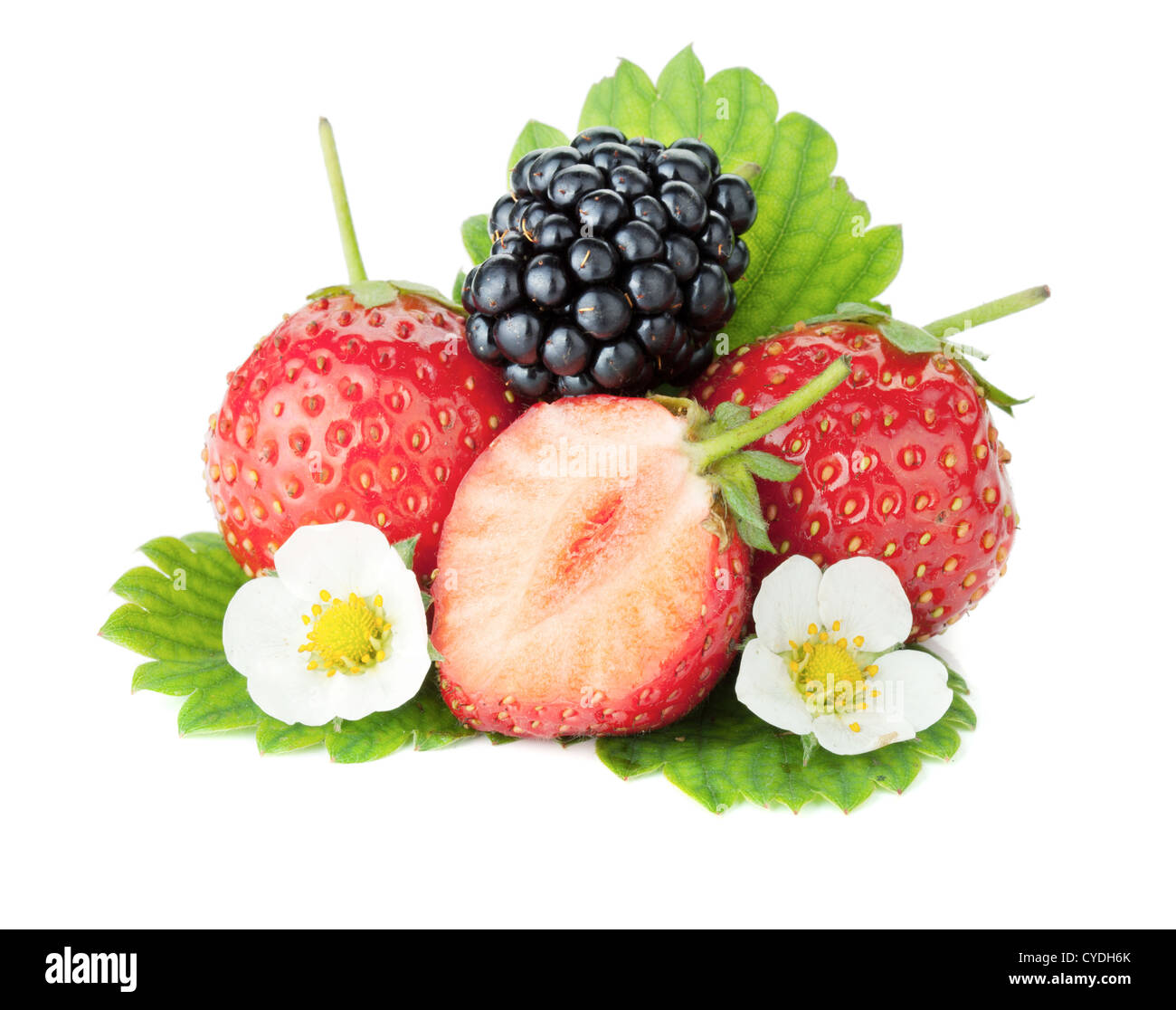 Strawberry and blackberry fruits. Isolated on white background Stock ...