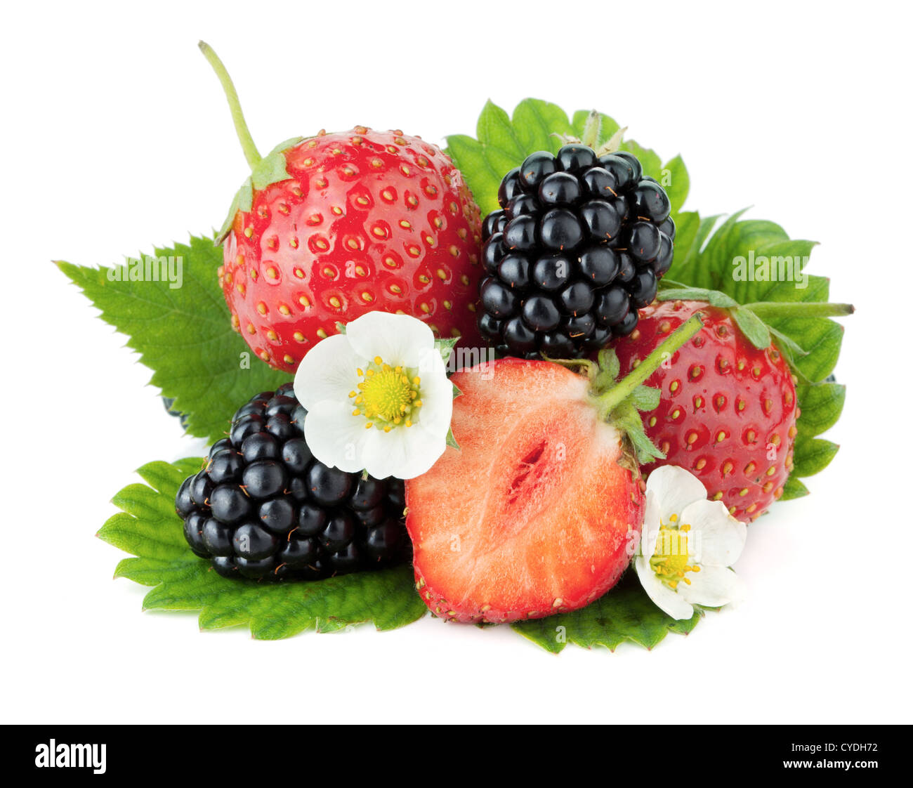 Strawberry and blackberry fruits. Isolated on white background Stock ...