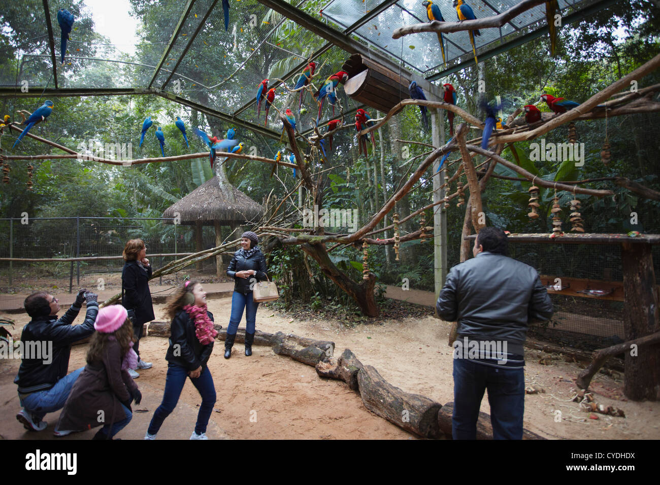 People inside parrot enclosure at Parque das Aves (Bird Park), Iguacu ...