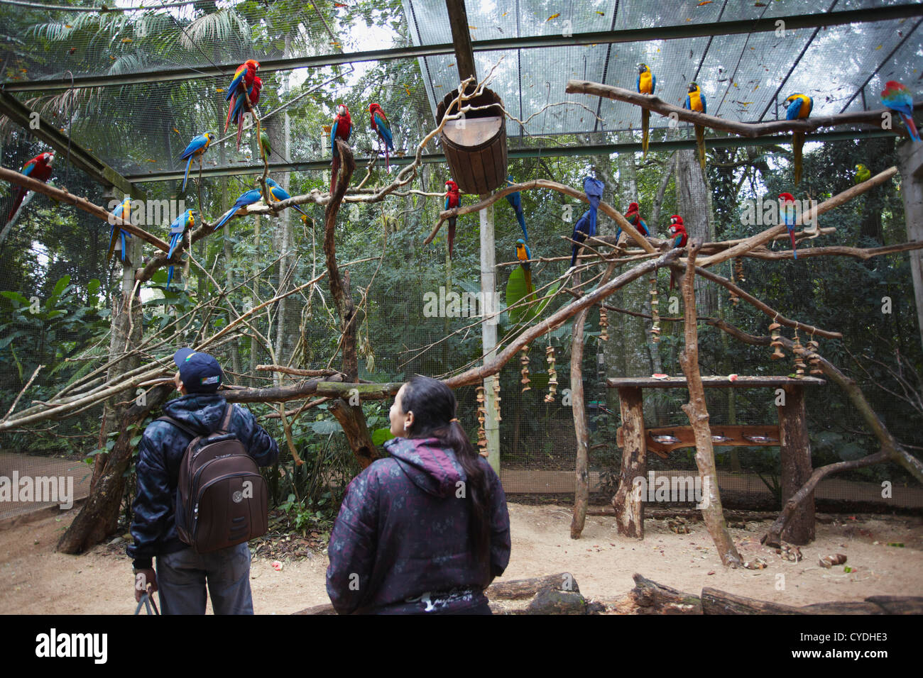 People inside parrot enclosure at Parque das Aves (Bird Park), Iguacu ...
