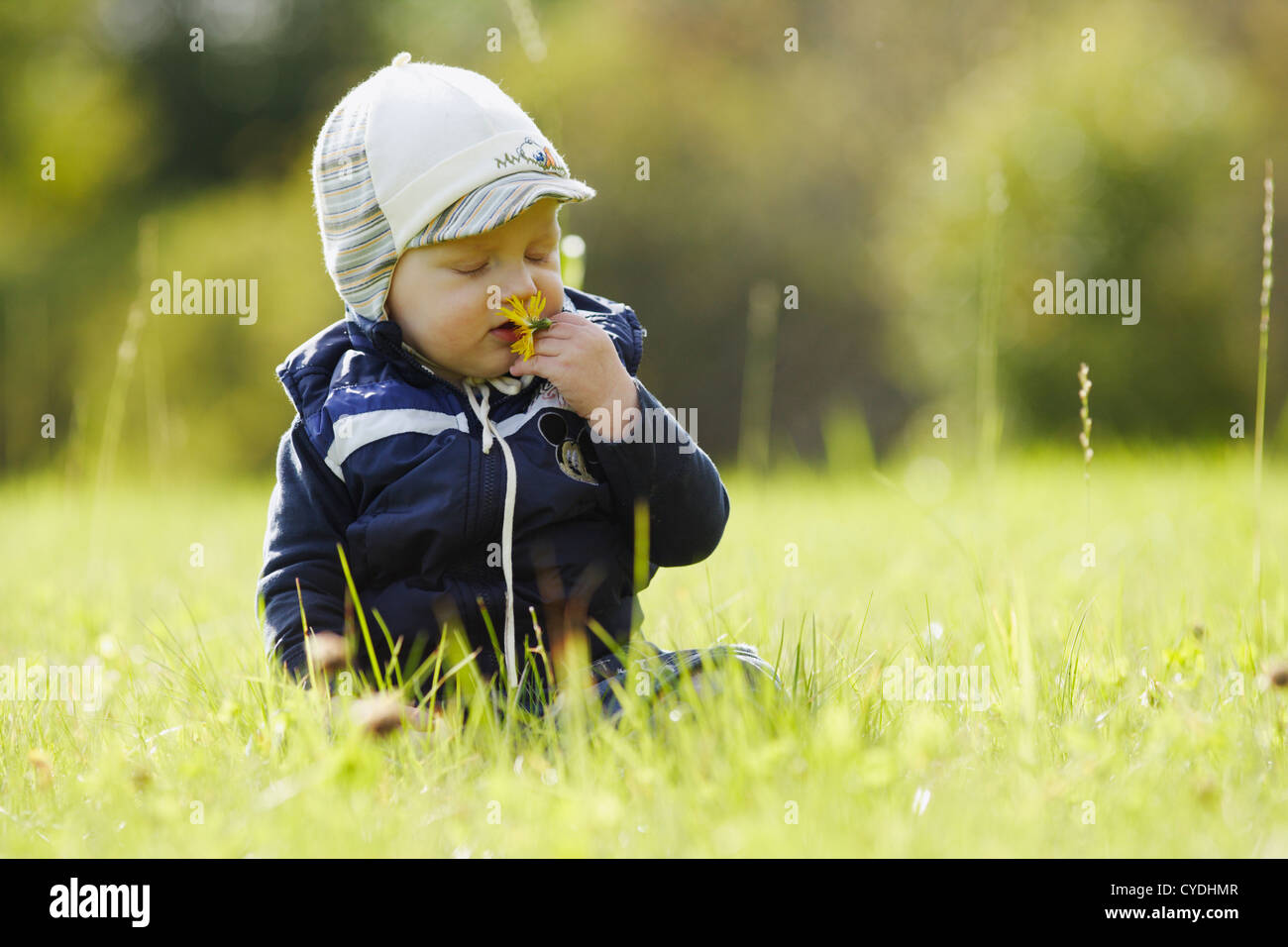 Baby boy smelling a flower Stock Photo - Alamy