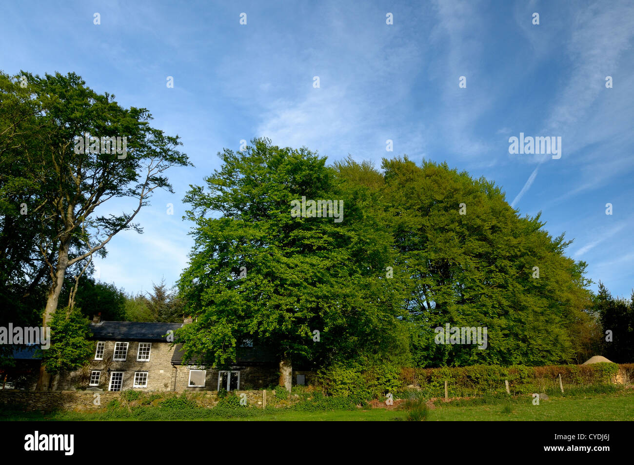 PantGlas retreat. A Welsh cottage Stock Photo - Alamy