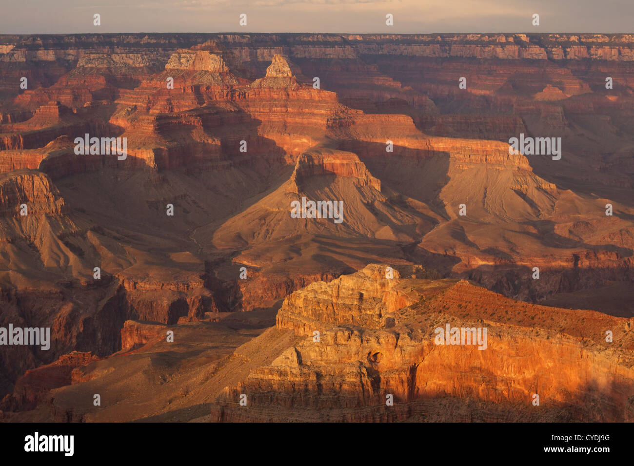Cliffs in the Grand Canyon show the lines of strata of different rock ...