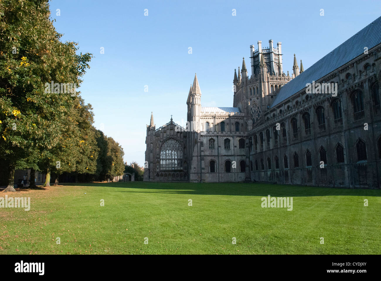 Side of Ely Cathedral Stock Photo - Alamy