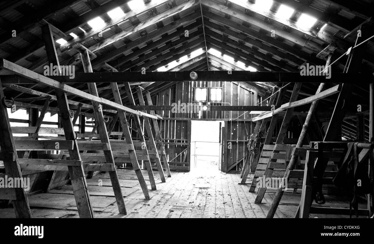 The interior of a barn with stables. Angles and light direction create ...