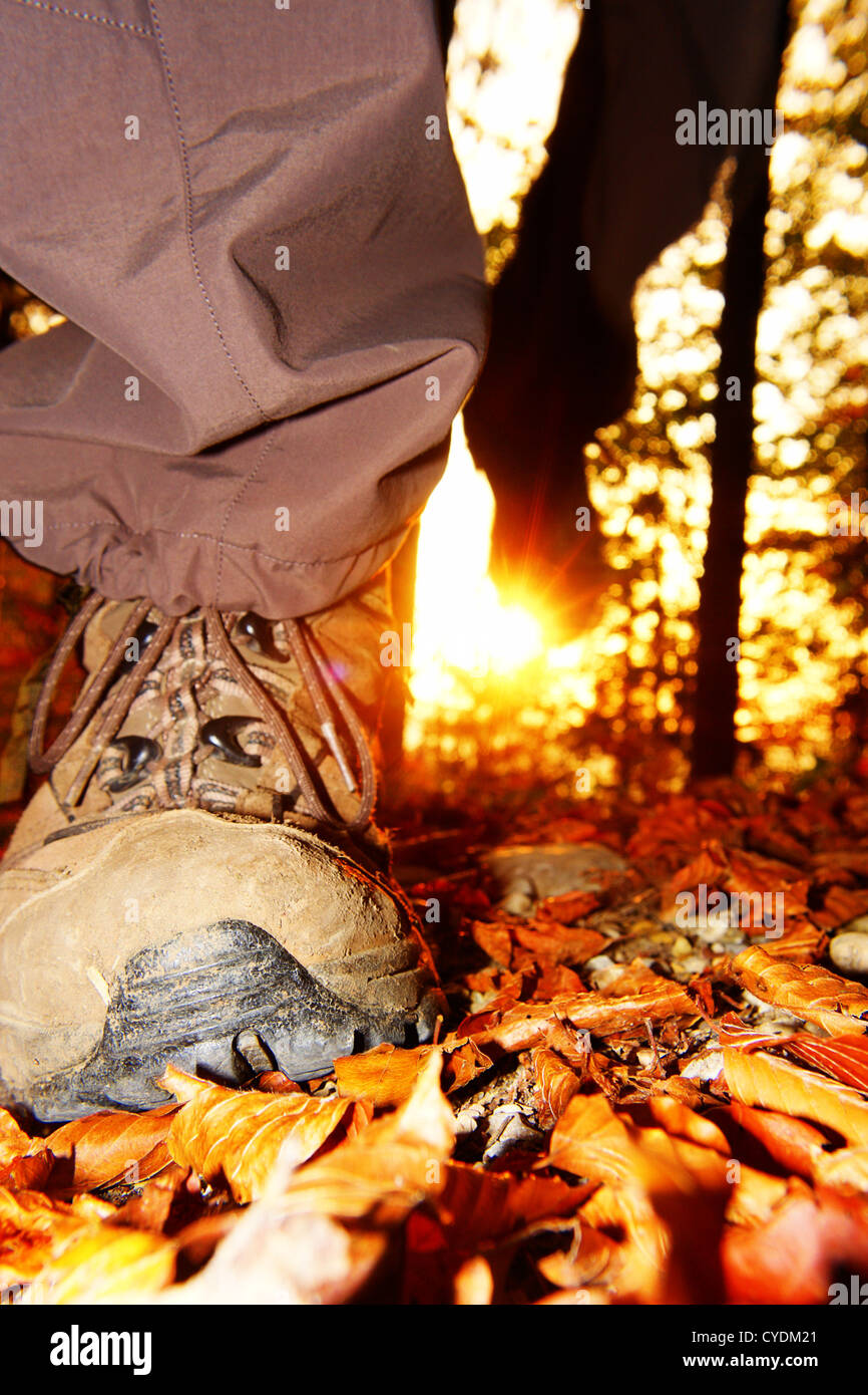 From underfoot hi-res stock photography and images - Alamy