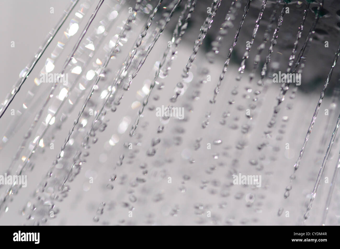 water drops falling from a shower indoors Stock Photo - Alamy