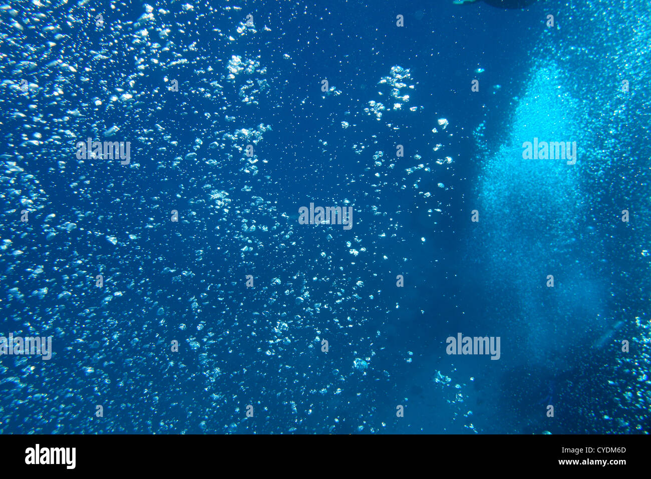 Oxygen bubbles fish sea hi-res stock photography and images - Alamy
