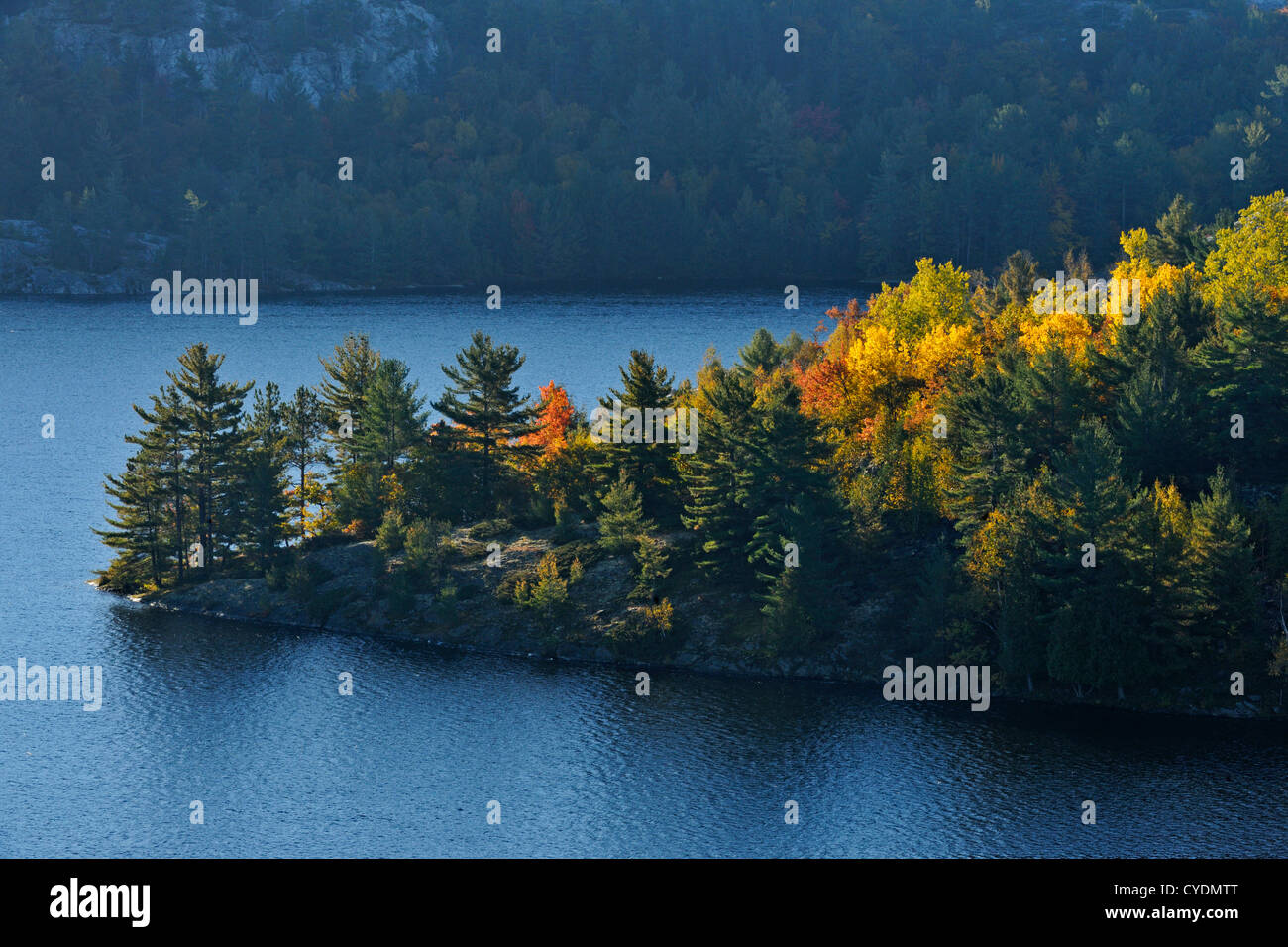 Willisville hi-res stock photography and images - Alamy