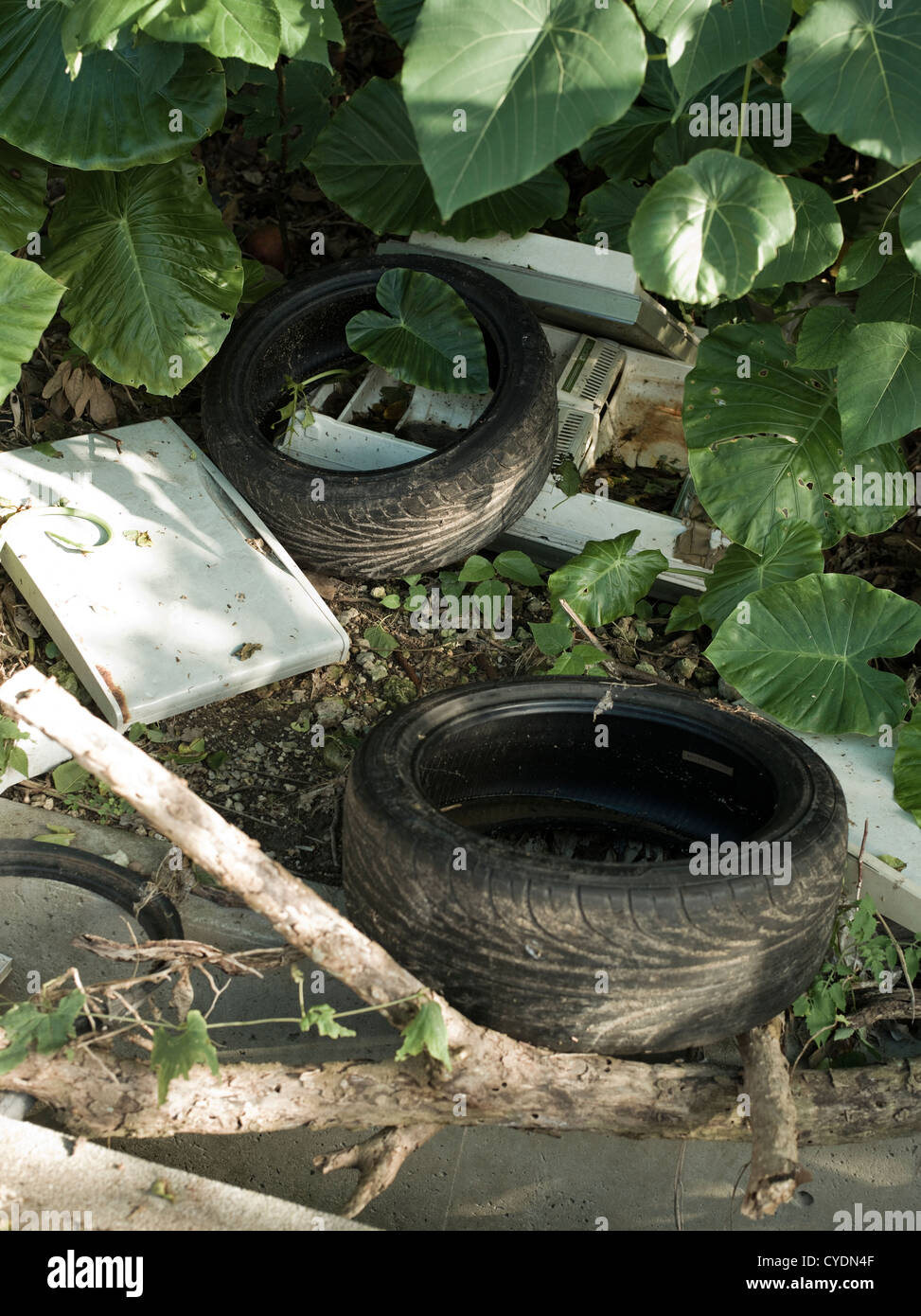 Trash hi-res stock photography and images - Alamy