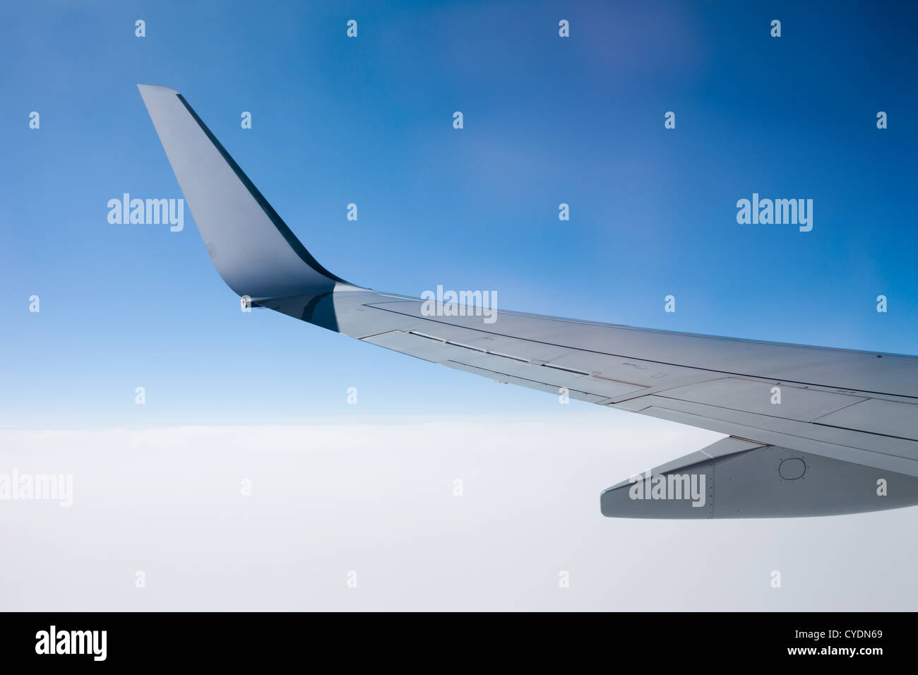 Wing of modern high speed jet airplane Stock Photo - Alamy